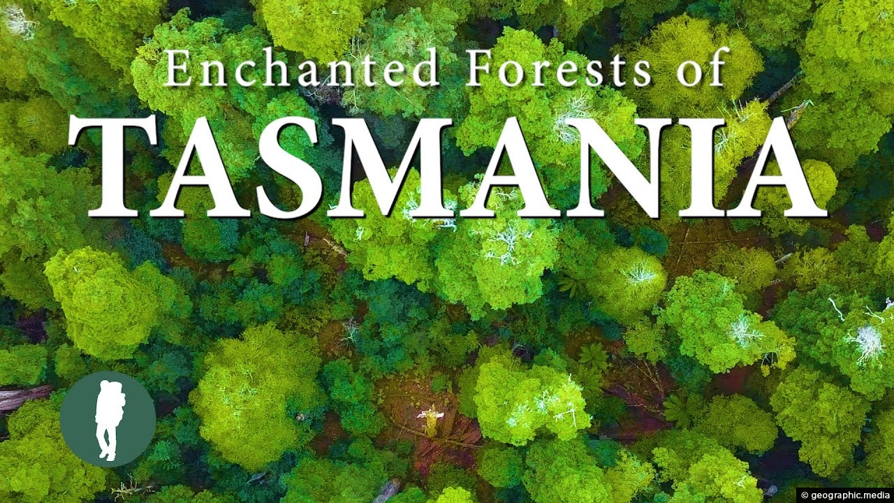 Enchanted Forests of Tasmania - Geographic Media