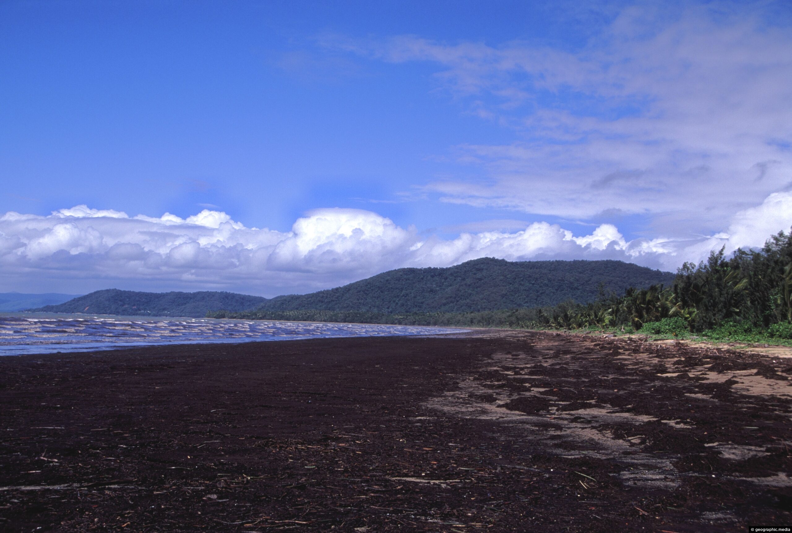 Storm Debris Daintree - Geographic Media