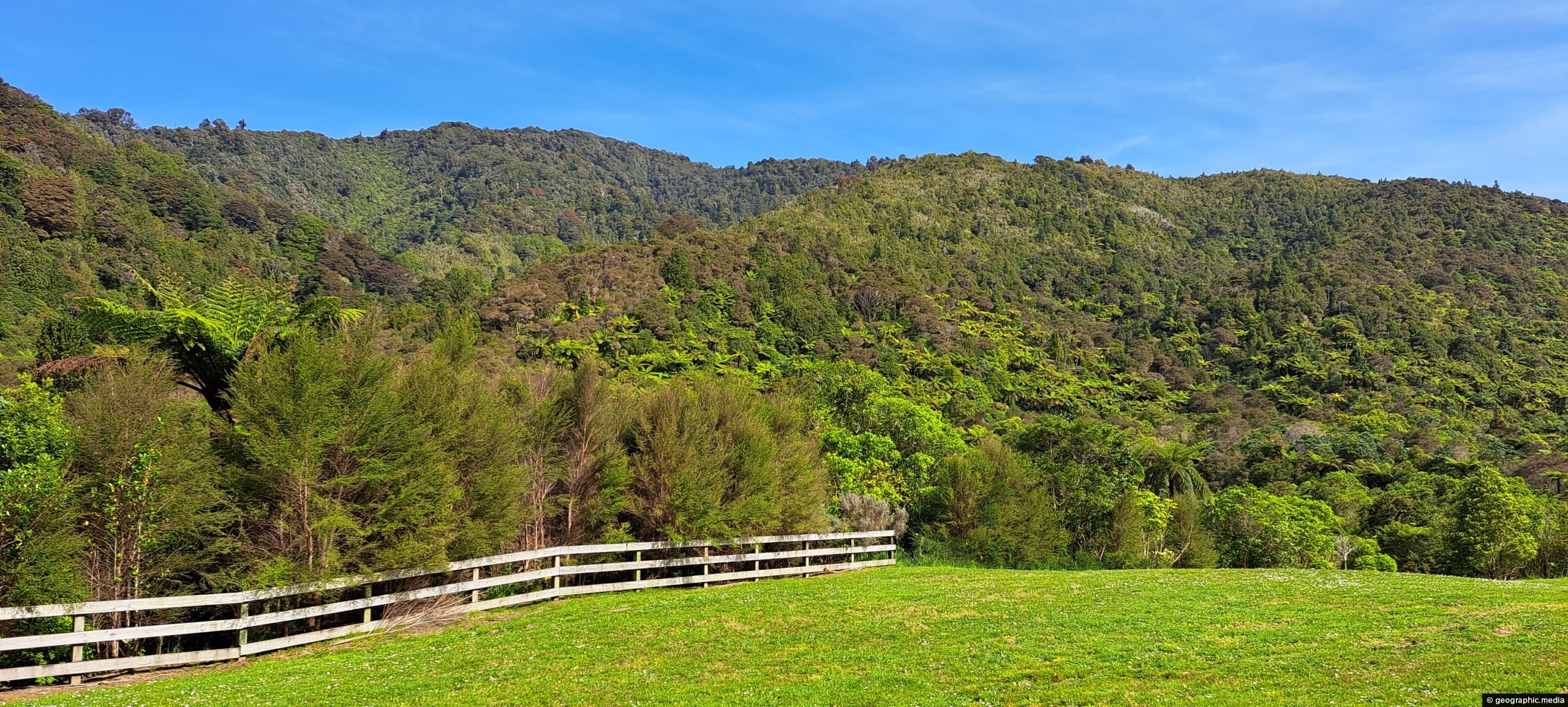 Native Bush Vista Wainuiomata - Geographic Media