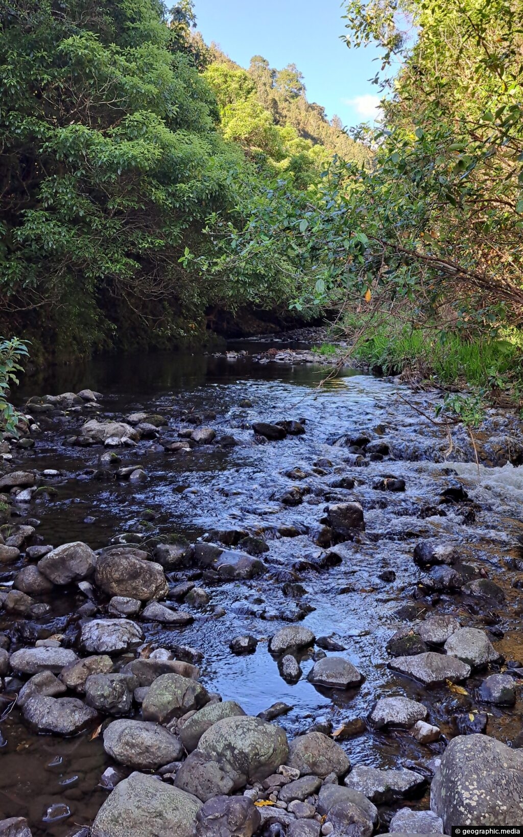 Wainuiomata River in Reservoir Valley - Geographic Media