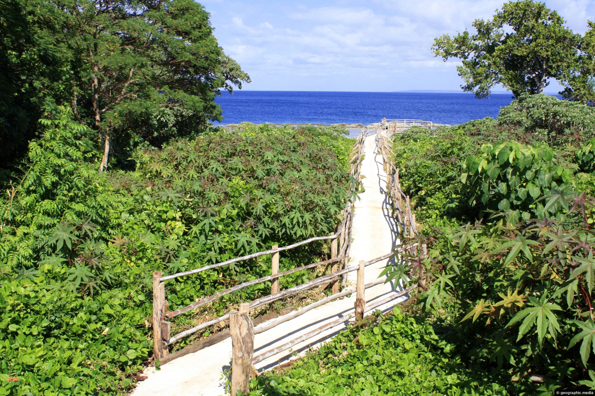 Wooden Hall in Ohonua on Eua Island - Geographic Media